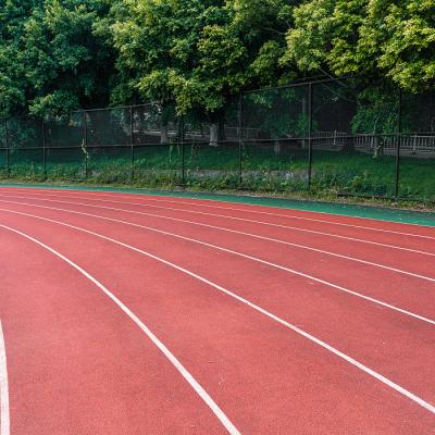 China Spray Coat System Athletic Track elastic Synthetic Plastic Rubber Track for sale