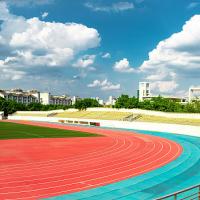China 13mm Synthetic Sports Flooring EPDM Rubber Roll Red Blue Green IAAF Certified for sale
