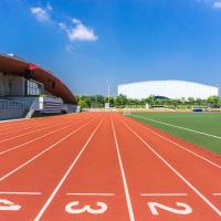 China 13mm Synthetic Sports Flooring PU Glue Mix SBR Playground for Athletic Track for sale