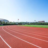 China Soundproof EPDM Rubber Running Track Polyurethane Binder Sports Flooring 13mm for sale