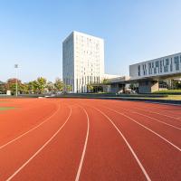 China Soundproof EPDM Rubber Running Track Polyurethane Binder Sports Flooring 13mm for sale