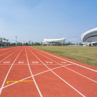 China Soundproof EPDM Rubber Running Track Polyurethane Binder Sports Flooring 13mm for sale
