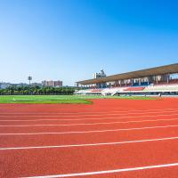 China Red Synthetic Track Surface Recyclable Spray Coating System Running Track for sale