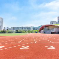 China EPDM Rubber Athletic Track Anti Fatigue Synthetic Playground Flooring 13mm for sale