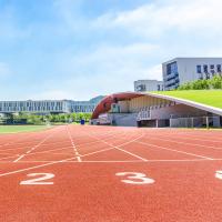 China 2.5mm Synthetic Sports Flooring Prefabricated System Running Track 13mm Multicolor for sale