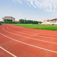 China IAAF Synthetic Sports Flooring for Volleyball Court 13mm Thickness Waterproof for sale