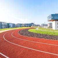 China IAAF EPDM Plastic Outdoor Jogging Track Seamless Colorful 13mm for sale