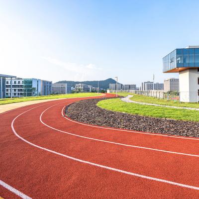 China IAAF EPDM Plastic Outdoor Jogging Track Seamless Colorful 13mm for sale