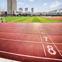 China IAAF Synthetic Rubber Running Track 13mm EPDM Granule Playground Flooring for sale