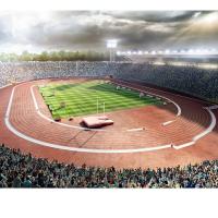 China Non Toxic Jogging Track Material 13mm Eco-Friendly Synthetic Sports Flooring IAAF Certified for sale