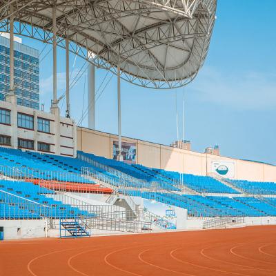 China IAAF Synthetic Rubber Running Track 13mm EPDM Granule Playground Flooring for sale