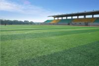 China Natural Garden Landscape Artificial Synthetic Turf Grass 14000 Dtex for sale