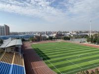 China 9000 Dtex Artificial Lawn Grass Landscaping 20mm Plastic Carpet Decorative for sale