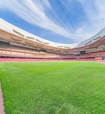 China 30mm High Density PE Artificial Grass Sports Flooring Green Turf 16000 Dtex for sale