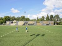 China 40mm 50mm Artificial Grass Synthetic Turf for Soccer Field Outdoor Lawn Sports for sale