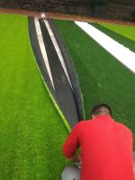 China High Density Artificial Synthetic Lawn Turf Green Grass Carpet for sale