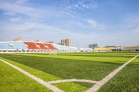 China 60mm Artificial Turf Grass 12000dtex Synthetic Carpet for Football Court Garden for sale