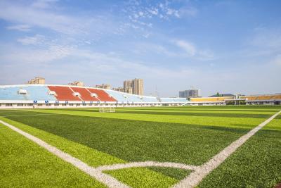 China 60mm Artificial Turf Grass 12000dtex Synthetic Carpet for Football Court Garden for sale