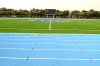 China 60mm Artificial Turf Grass 12000dtex Synthetic Carpet for Football Court Garden for sale