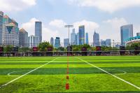 China 14000 Dtex Artificial Tile Floor Grass Roll Environmental Friendly for sale