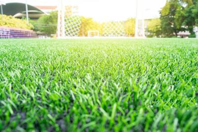China Anti UV Artificial Grass Sports Flooring 30mm Garden Landscape Lawn Turf for sale
