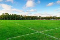 China SGS Approved Plastic 9000 Dtex Artificial Turf Grass Eco-Friendly for sale