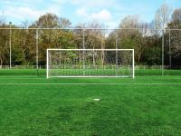 China 14000 Dtex Artificial Turf Grass Roll 20mm Pile Height Odorless for sale