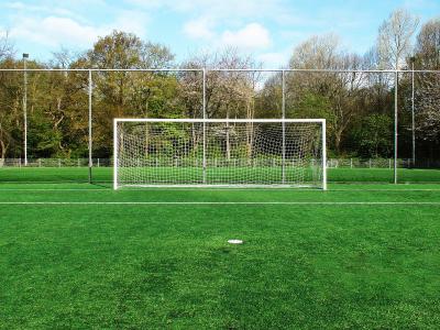 China 14000 Dtex Artificial Turf Grass Roll 20mm Pile Height Odorless for sale