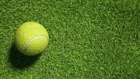 China 14000 Dtex Artificial Turf Grass Roll 20mm Pile Height Odorless for sale