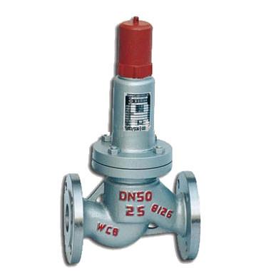 China Back-flow safety valve for sale