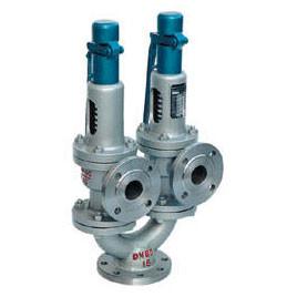 China Double spring type safety valve for sale