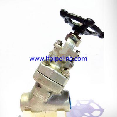 China F304 Socket Welded/NPT Threaded Y Type Forged Globe Valve for sale