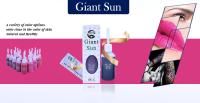 China GIANT SUN Semi Permanent Makeup Pigment / Original Tattoo Ink 20ml For Eyebrow Lip Tattoo for sale