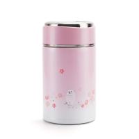 China Hot Sale Stainless Steel Vacuum Flask Food Container Thermos Lunch Box with Spoon for sale