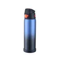 China 650ml 2019 new fashion Thermos Vacuum Insulated  Compact sport  Beverage Bottle black for sale