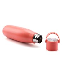 China Amazon Top Seller 2020 SS Drink Bottle Water Bottle Sport Stainless Steel Vacuum Flask 500ml for sale