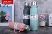 China 700ML Hot Sell High-Quality Stainless Steel Portable Double Wall  Thermos Sports Water Bottle With Handle for sale