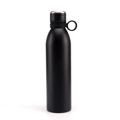 China 0.6L/0.75L/1L Customized Stainless Steel Double Wall Vacuum Sport Water Bottle With PP Lid and Handle for sale