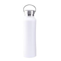 China 22oz 24 Oz Vacuum Insulated Water Bottle Flask Water Infuser Tea Water Bottle for sale