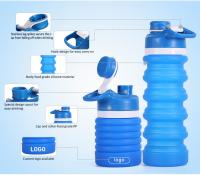 China High Quality Soft Bpa Free Folding Cups Silicone Rubber Collapsible Water Bottles With Lid for sale