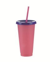 China Reusable Color Changing Cold Cups Summer Magic Plastic Coffee tumbler With Straws Set of 5 for sale