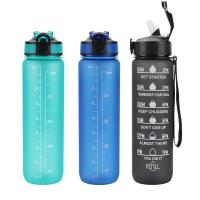 China 32oz Travel Vacuum Tumbler Mug 32 Oz Insulated Plastic Tumbler With Time Marker Straw Strainer for sale