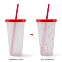China 24 Oz Double Wall Insulated Tumbler Mug Magic Portable Party Cold Temperature Reusable Juice Mug for sale