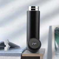China 500ml LED Temperature Display Stainless Steel Double Insulated Vacuum Smart Water Bottle for sale