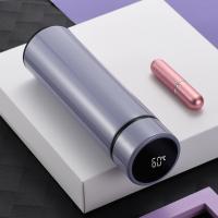 China 500ML Custom Smart SS304 Stainless Steel double insulated Vacuum thermo Water Bottle With LED Temperature Display for sale