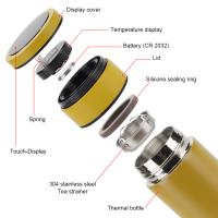 China Tea Infuser Bottle Smart Sports thermos  LED Temperature Display Double Wall Vacuum Insulated Water Bottle Batteryreplace the for sale