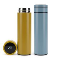 China Tea Infuser Bottle Smart Sports thermos  LED Temperature Display Double Wall Vacuum Insulated Water Bottle Batteryreplace the for sale