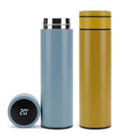 China Tea Infuser Bottle Smart Sports thermos  LED Temperature Display Double Wall Vacuum Insulated Water Bottle Batteryreplace the for sale