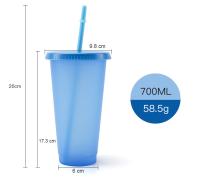 China Summer Coffee Tumblers Color Changing Cups 24oz Cold Cups 5 Reusable Cups Lids And Straws Set Of 5 for sale