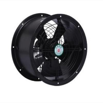 China 12 Inch 300mm Portable Electric Exhaust Fan AC Industrial Axial Suction Fan for sale